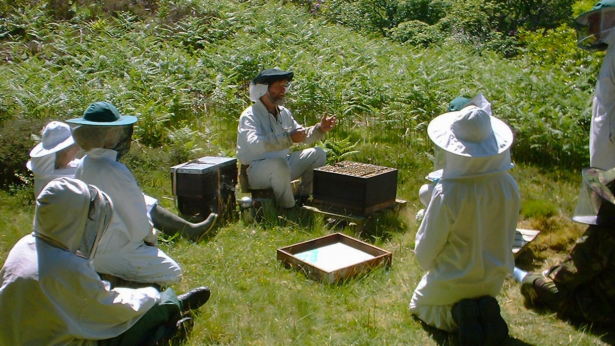Bee Courses – Colonsay Black Bees