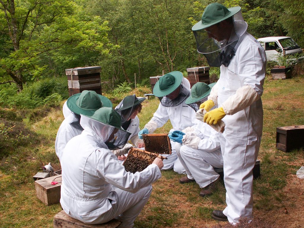 Bee Courses – Colonsay Black Bees