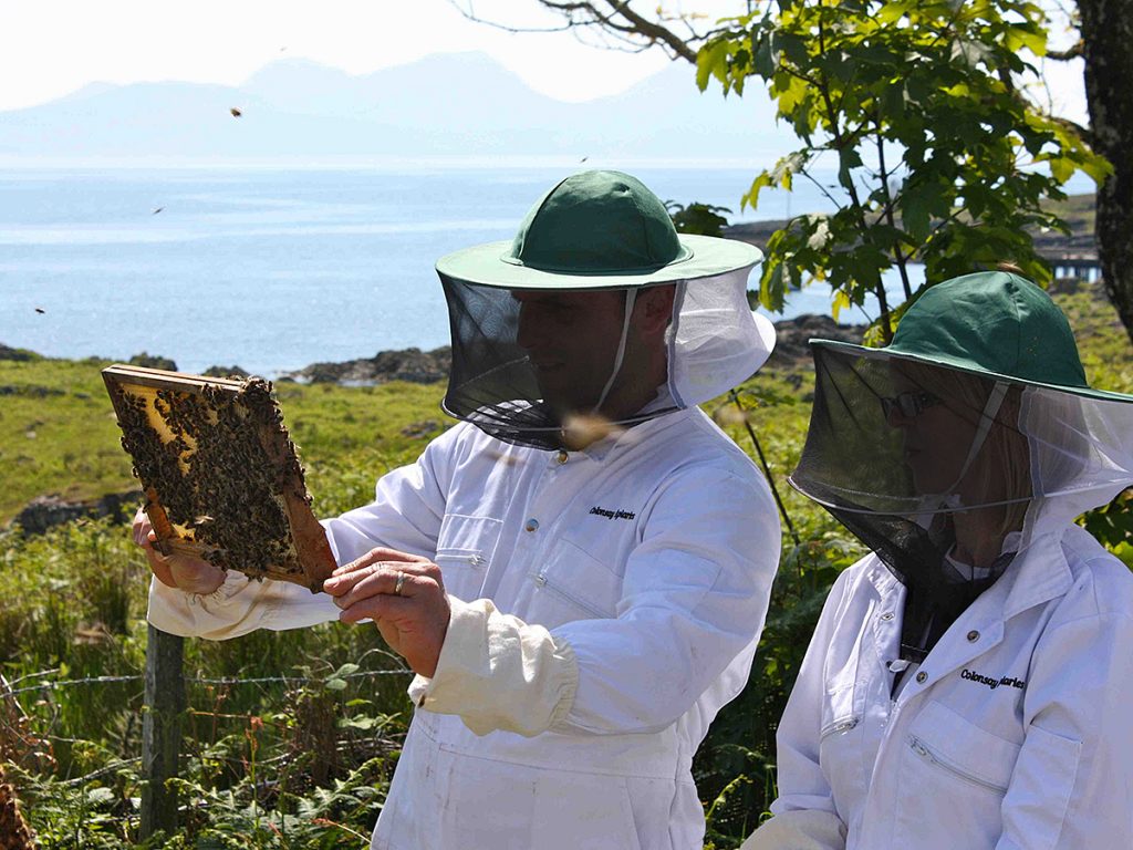 Bee Courses – Colonsay Black Bees